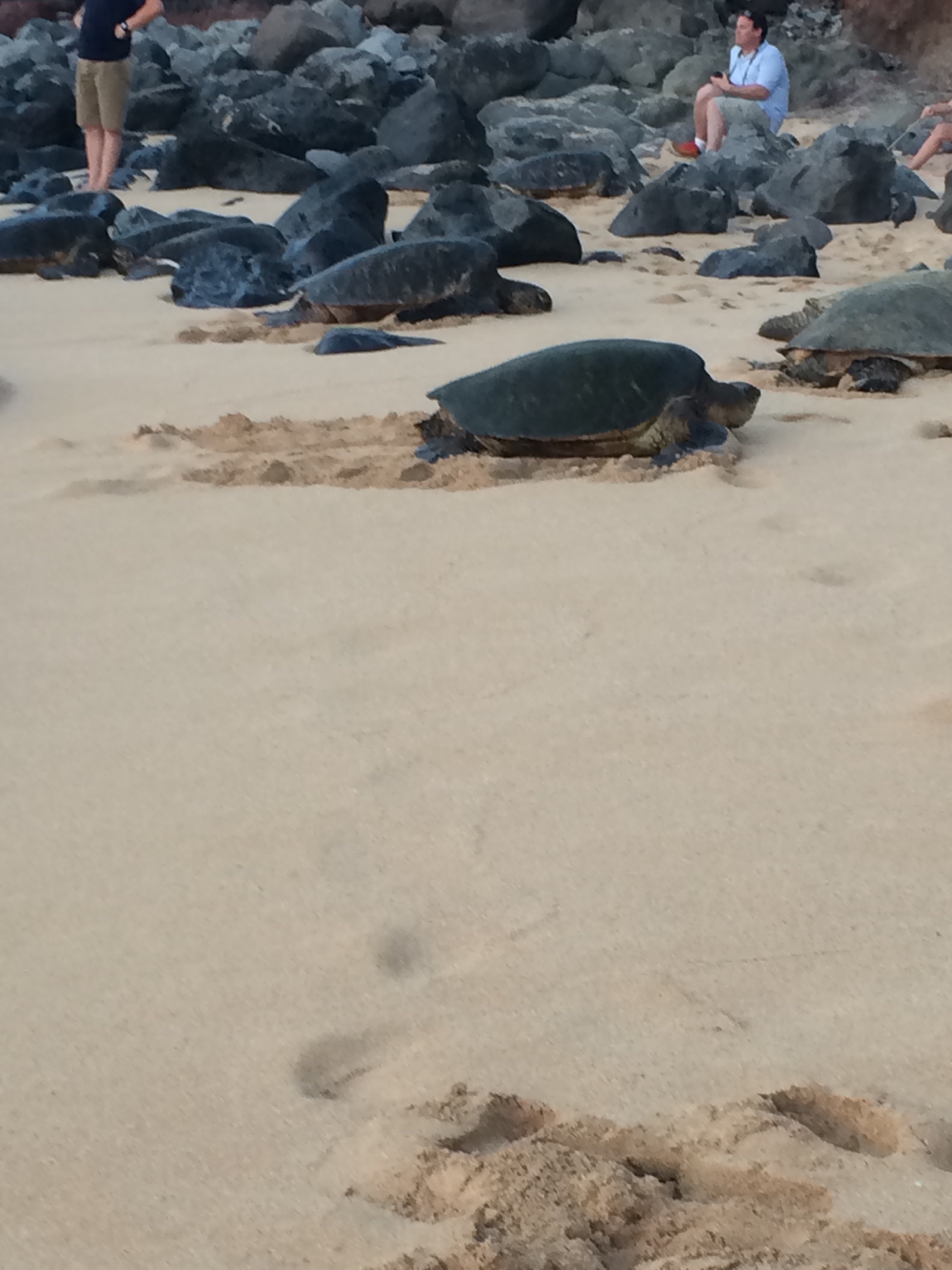 5 on Friday- Vacation edition | Nuts for Nutrition